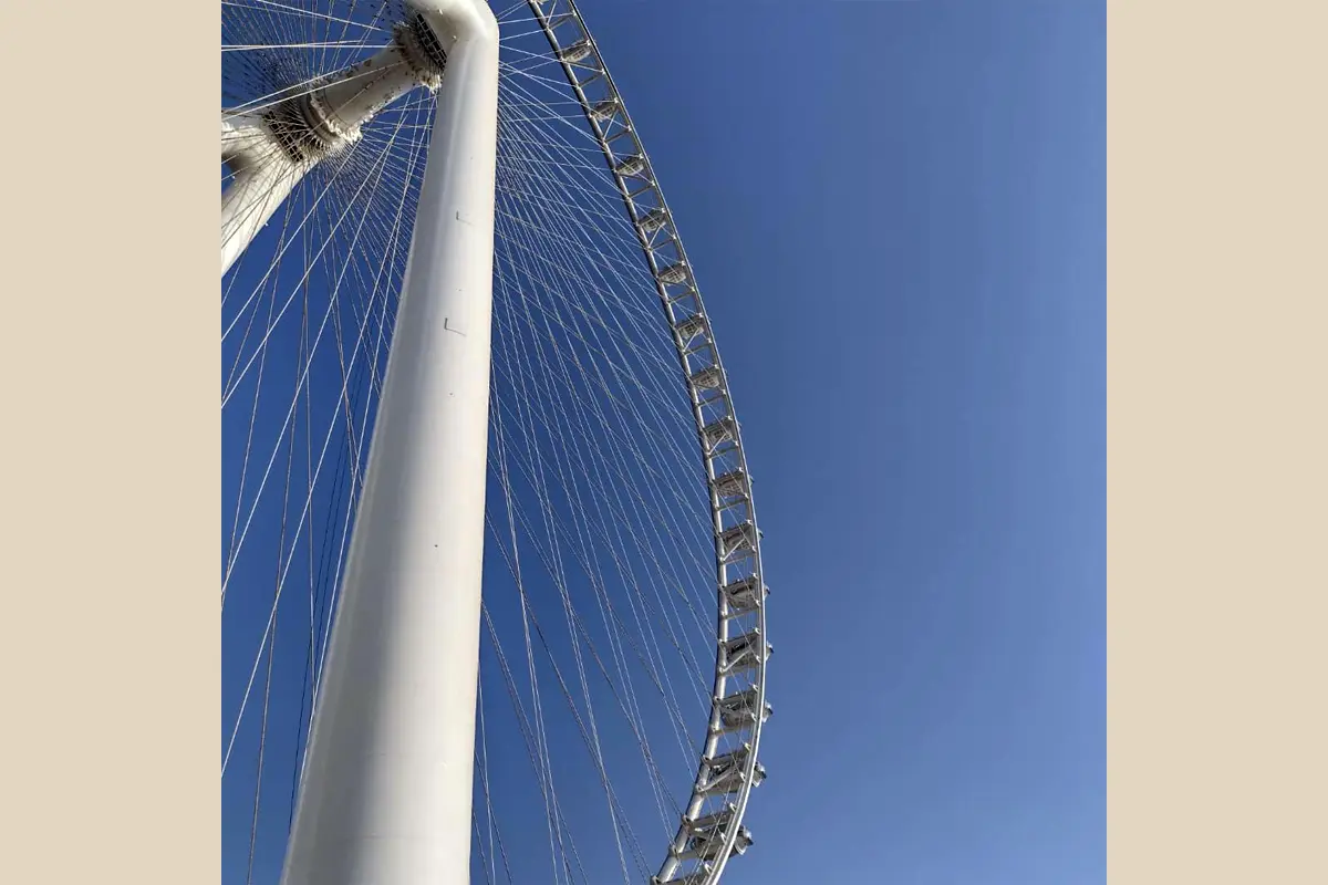 Flying Cup Dubai: The Ultimate Skyward Experience With Breathtaking ...